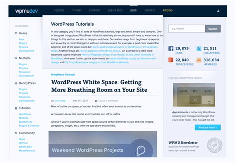 the best wordpress tutorial websites that every wordpress user should