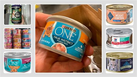 13 Best Healthy Wet Cat Food In 2026 Vet Recommended Picks