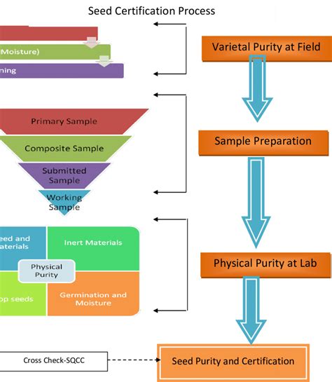 Seed Certification And Purity Testing Activities Download Scientific Diagram