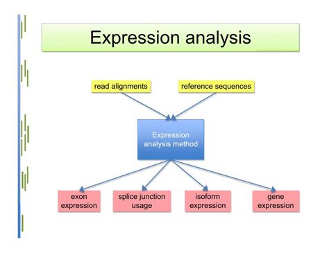 Pdf Transcriptome Analysis Methods For Rna Seq Datacamda2009