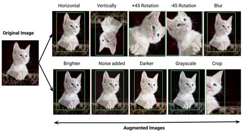 Data Augmentation Decoded Transform Images Without Losing Labels By