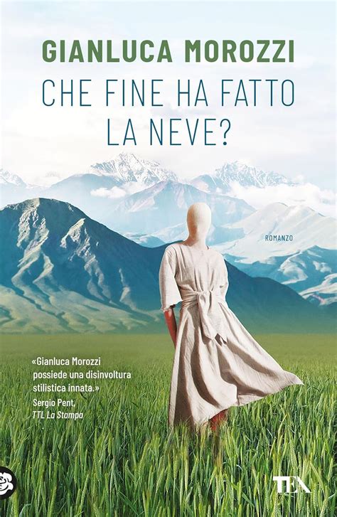 Che Fine Ha Fatto La Neve Morozzi Gianluca Amazonit Libri
