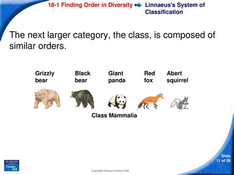 Copyright Pearson Prentice Hall Ppt Download
