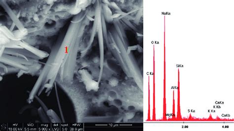 The Morphology Of Alkaline Activation Products In The Form Of