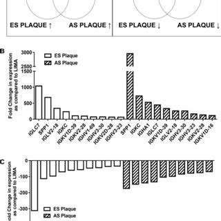 Microarray Analysis Reveals Alterations In Gene Expression Associated Download Scientific