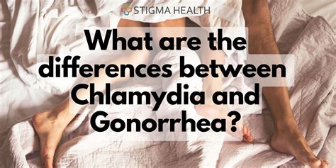 The 101 On Chlamydia And Gonorrhea Stigma Health