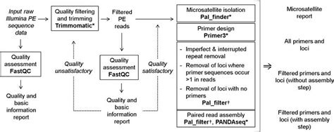 Pipeline Processes In Boxes The Programs Used In Bold And Download Scientific Diagram
