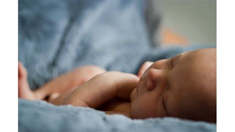 По време на бременност нуждитe от протеин се увеличават Мама 24