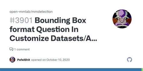 Bounding Box Format Question In Customize Datasetsan Example Of Customized Dataset · Issue