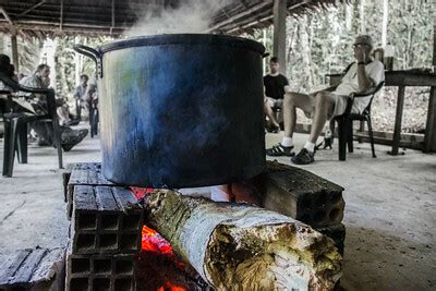 Ayahuasca Rites Myths And Truths Behind Yagé And Chacruna