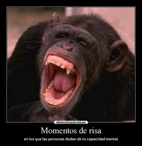 Momentos De Risa Desmotivaciones