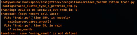 BUG No Variable Using Wandb Issue Deepinsight Insightface GitHub