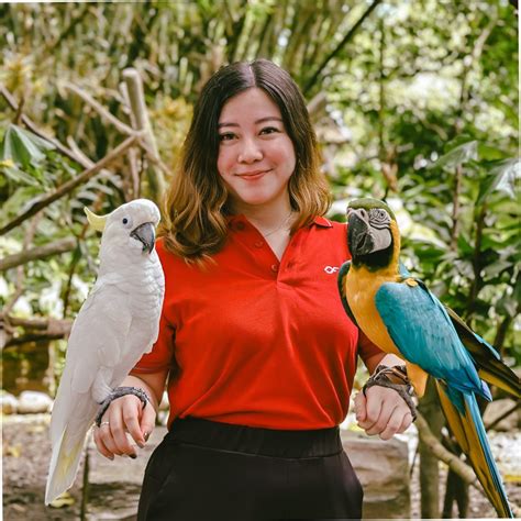 Virda Amalia Krisnanda Head Of Human Resources Indomobil Hino Group Linkedin