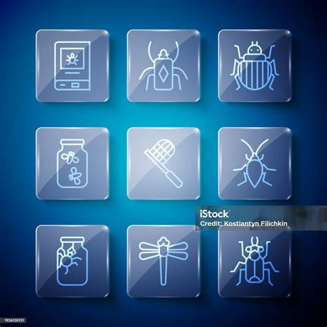 항아리에 거미 잠자리 딱정벌레 벌레 콜로라도 딱정벌레 나비 그물 반딧불이 벌레 곤충과 바퀴벌레 아이콘에 관한 책을 설정합니다 벡터 감자 요리에 대한 스톡 벡터 아트 및 기타