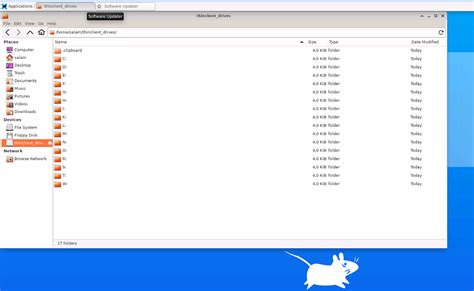 Since Ubuntu Upgrade 2110 To 22042 Login Successful For Display 10