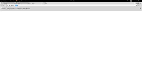 Chrome Is Being Controlled By Automated Test Software Not Secure Data