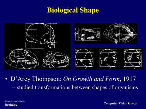 Ppt Shape Matching And Object Recognition Using Shape Contexts Jitendra Malik Uc Berkeley
