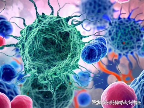 巨噬细胞：癌症的帮凶还是救星？ 知乎