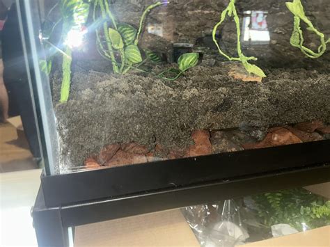 Substrate Slipped Through Mesh Barrier Rbioactive