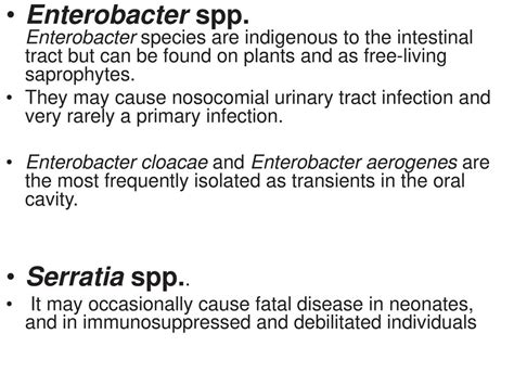 Enterobacter Spp что это такое Enterobacter Spp Klebsiella Spp