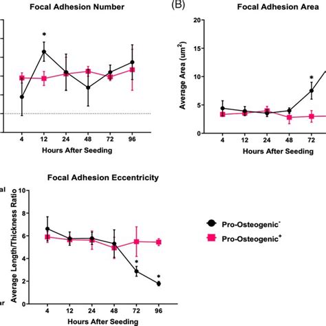 Focal Adhesion Number Size And Morphology Over Time In HFOB 1 19 Download Scientific Diagram