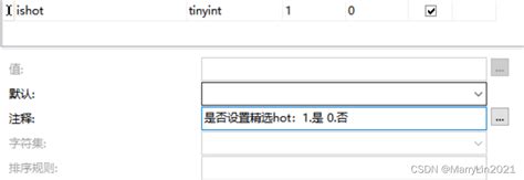 mysql的布尔类型用tinyint 表示 mysql tinyint 布尔 csdn博客