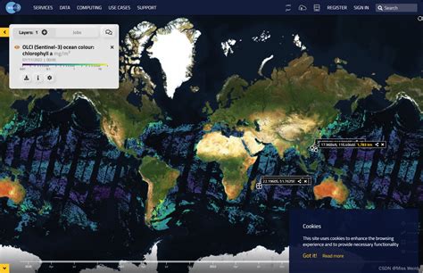 水色遥感各种常用网址总结（不定时更新） 水色卫星遥感数据怎么获取 Csdn博客
