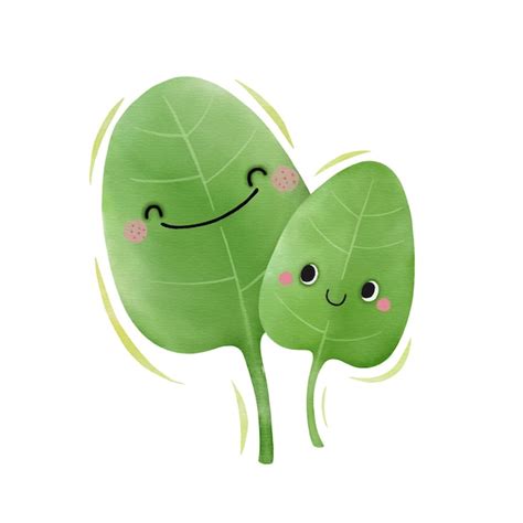 수채화 귀여운 시금치 잎 만화 캐릭터 벡터 일러스트 레이 션 프리미엄 벡터