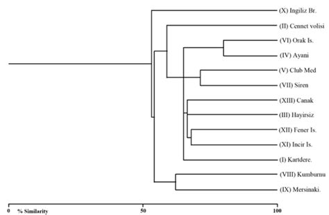 Clustering Analysis Showing The Similarity Among Fish Only Stations Download Scientific Diagram