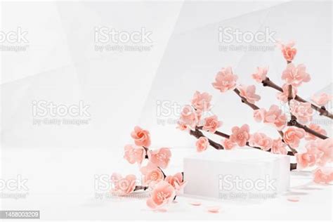 우아한 봄 광장 연단 모형은 프레젠테이션 화장품 상품 브랜딩 디자인을 위한 기하학적 현대적인 스타일의 흰색 인테리어에 밝은