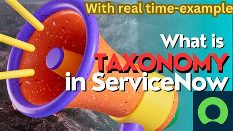 Understanding Servicenow Taxonomy A Simple Guide With Examples Youtube
