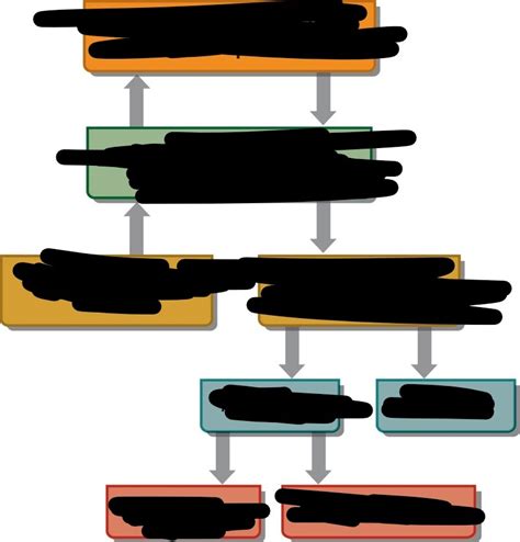 Diagram Diagram Quizlet