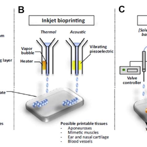 Schematic Representation Of 3d Bioprinting Technologies A Download Scientific Diagram