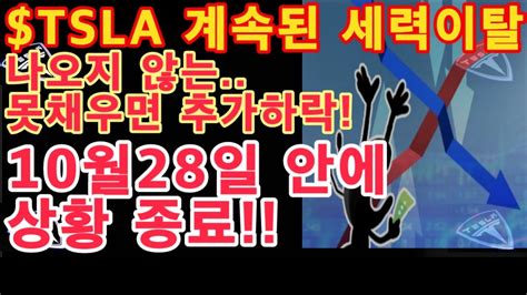 Tsla 계속된 세력이탈 나오지 않는못채우면 추가하락 Tesla 주가는 장기적 우상향 10월28일 안에