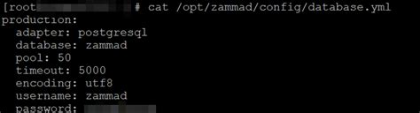 Upgrade Zammad 60 To 61 Failed Technical Assistance Zammad