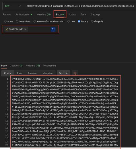 Encode Binary File To Base64 Integration Suite Btp Iflow Sap
