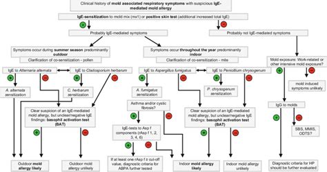 Diagnostic Algorithm For Patients With A History Of Suspected