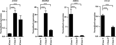 Validation Of Microarray Data By Qrt Pcr As Observed In Microarray