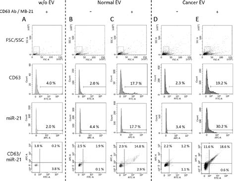 Figure 5 From Single Step In Situ Detection Of Surface Protein And Microrna In Clustered