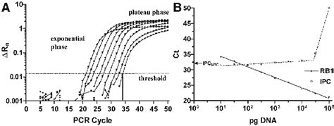 A Amplification Plots Of A Dilution Series Of The Dna Standard Download Scientific Diagram