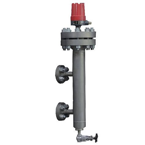Displacer Level Switch Ritm Industry
