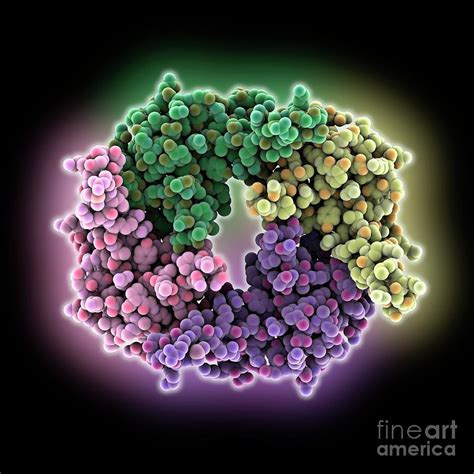 Sars Cov 2 Rna Binding Domain By Science Photo Library