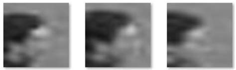 Multimodal Biometrics Recognition Using A Deep Convolutional Neural Network With Transfer