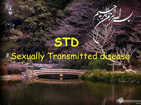 Ppt Std Powerpoint Presentation Free Download Id3599690