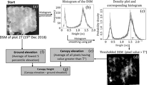 Framework For Estimating Canopy Height From Plot Level Digital Surface Download Scientific