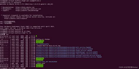 linux权限维持之suid后门、ssh后门 ssh后面 csdn博客