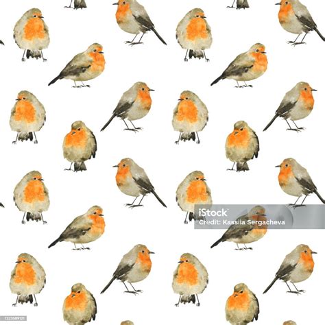 흰색 배경에 로빈 새의 매끄러운 패턴 수채화 손 그리기 그림 젖은 스타일 아쿠아렐 귀여운 겨울 회색과 오렌지 새 직물 섬유 종이에 인쇄에 적합합니다 유럽울새에 대한 스톡