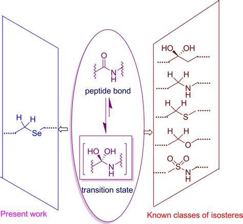 Representation Of Transition State Isosteres Of Peptide Bond Download Scientific Diagram