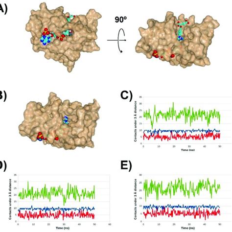 Comparing Binding Modes Of Chromosomally Encoded Prokaryotic Download Scientific Diagram