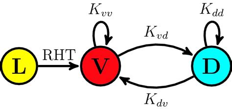 Subpopulations And Coupling In The Scn Light Input Comes Into The